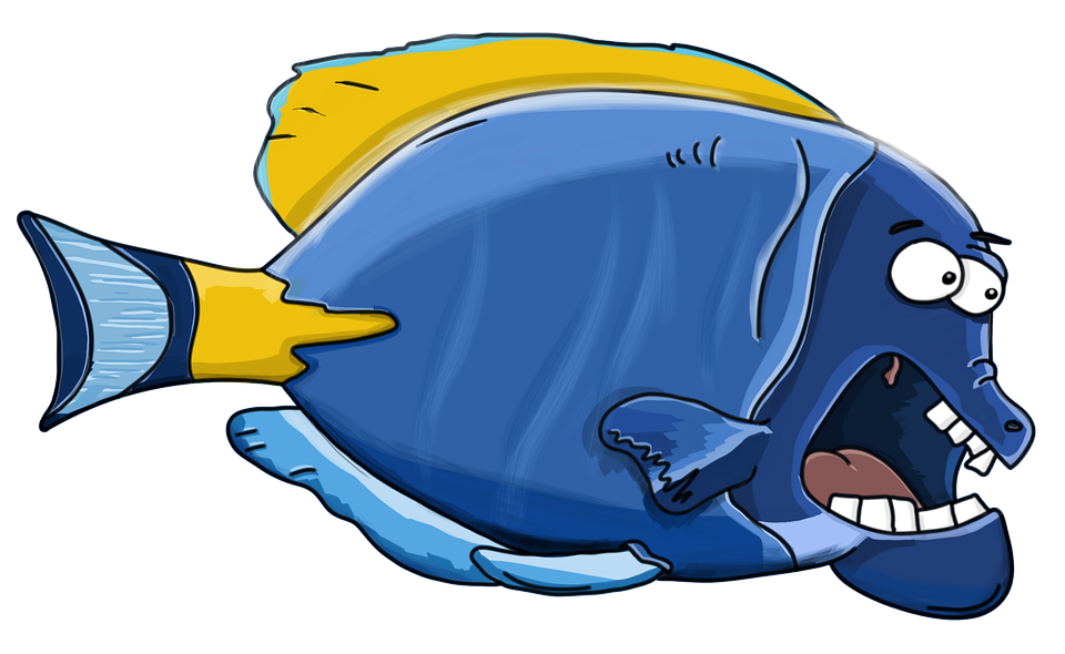 Bluefish, el editor HTML en Software Libre - Raúl Pérez